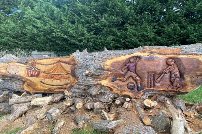 Tree carving marks century of sports at Leavesden Country Park ...